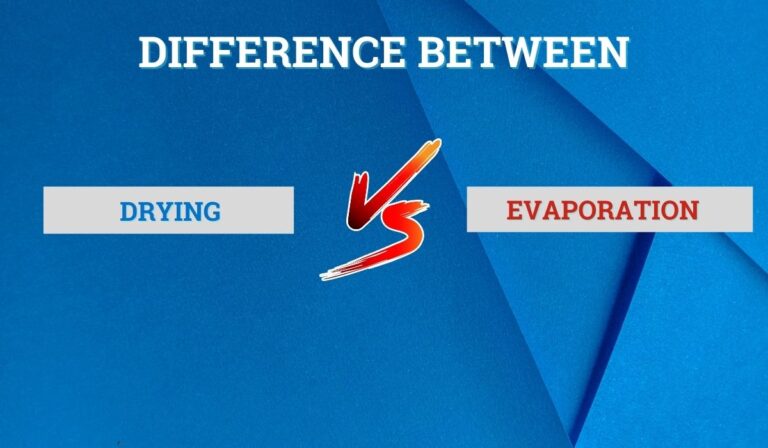 Difference Between Drying and Evaporation in Table | Globally Info