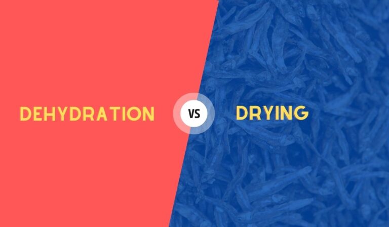 Difference Between Drying and Dehydration in Table | Globally Info